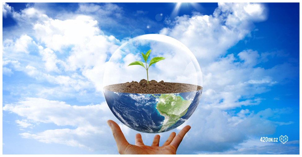 Мы делаем работу за чиновников. Кто «не зеленый», у того кредит дороже, говорит директор банка ...