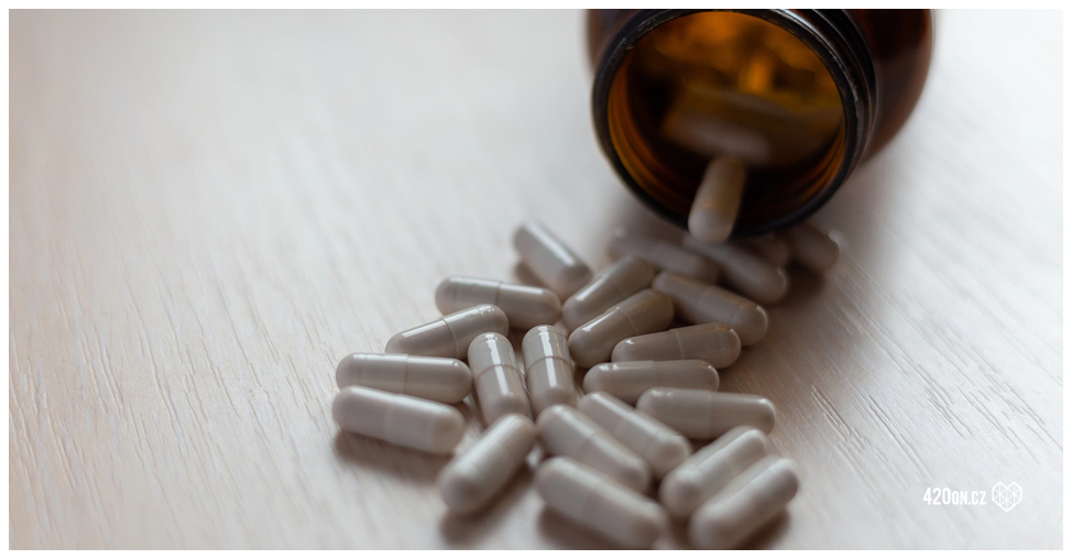 Пробиотики: панацея или маркетинг? | 420on.cz