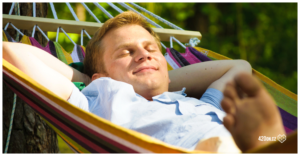 Работники будут иметь дополнительные отгулы, предложило правительство | 420on.cz